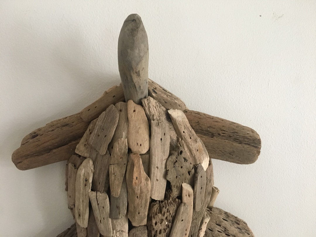 Driftwood Turtle: Beach Decor, Coastal Wall Art - Etsy