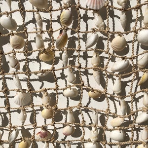 Rope & Sea Shell Wall Hanging - Etsy