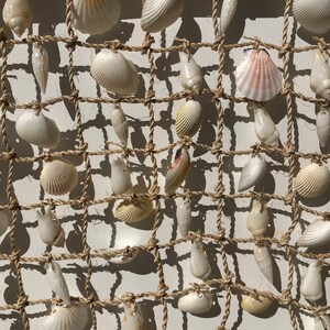 Rope & Sea Shell Wall Hanging - Etsy