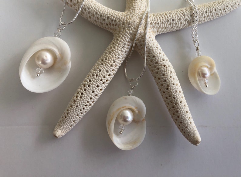 Pearl with Baby's Ear Shell Necklace | Etsy