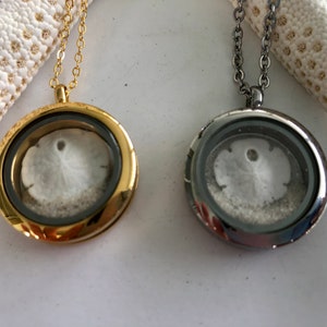 Sand Shell Keepsake See Through Locket - Etsy