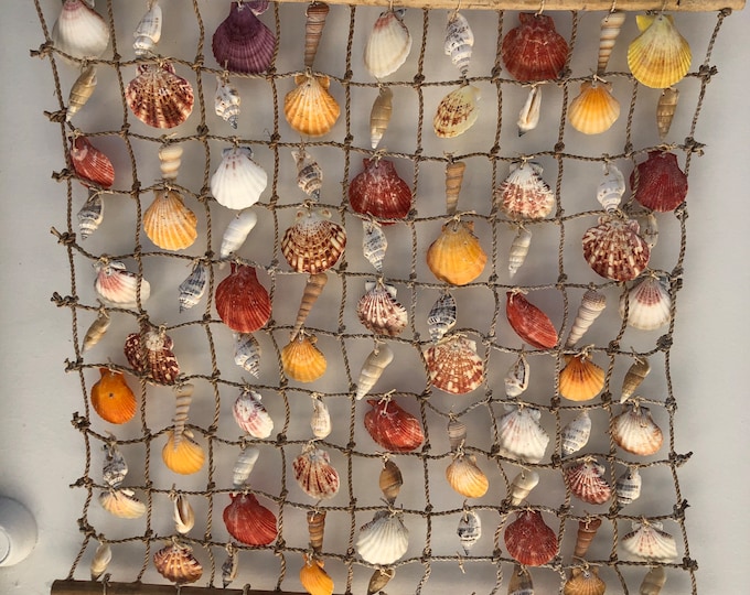 Colorful Sea Shell & Ropewall Hanging - Etsy