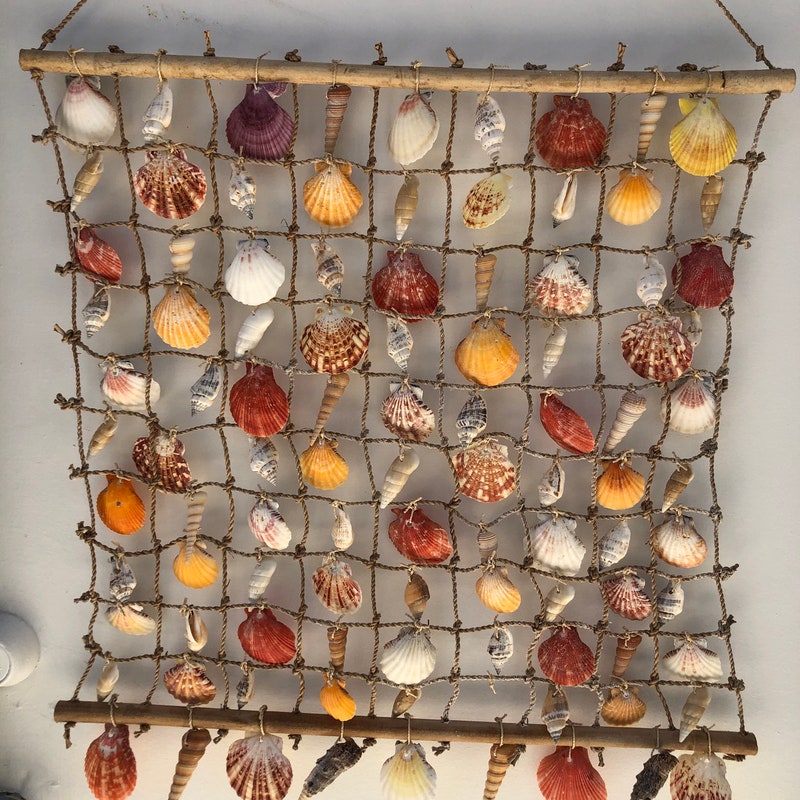 Shell Wall Decor - Etsy