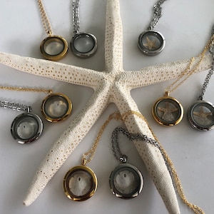 Sand Shell Keepsake See Through Locket - Etsy