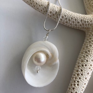Pearl With Baby's Ear Shell Necklace - Etsy