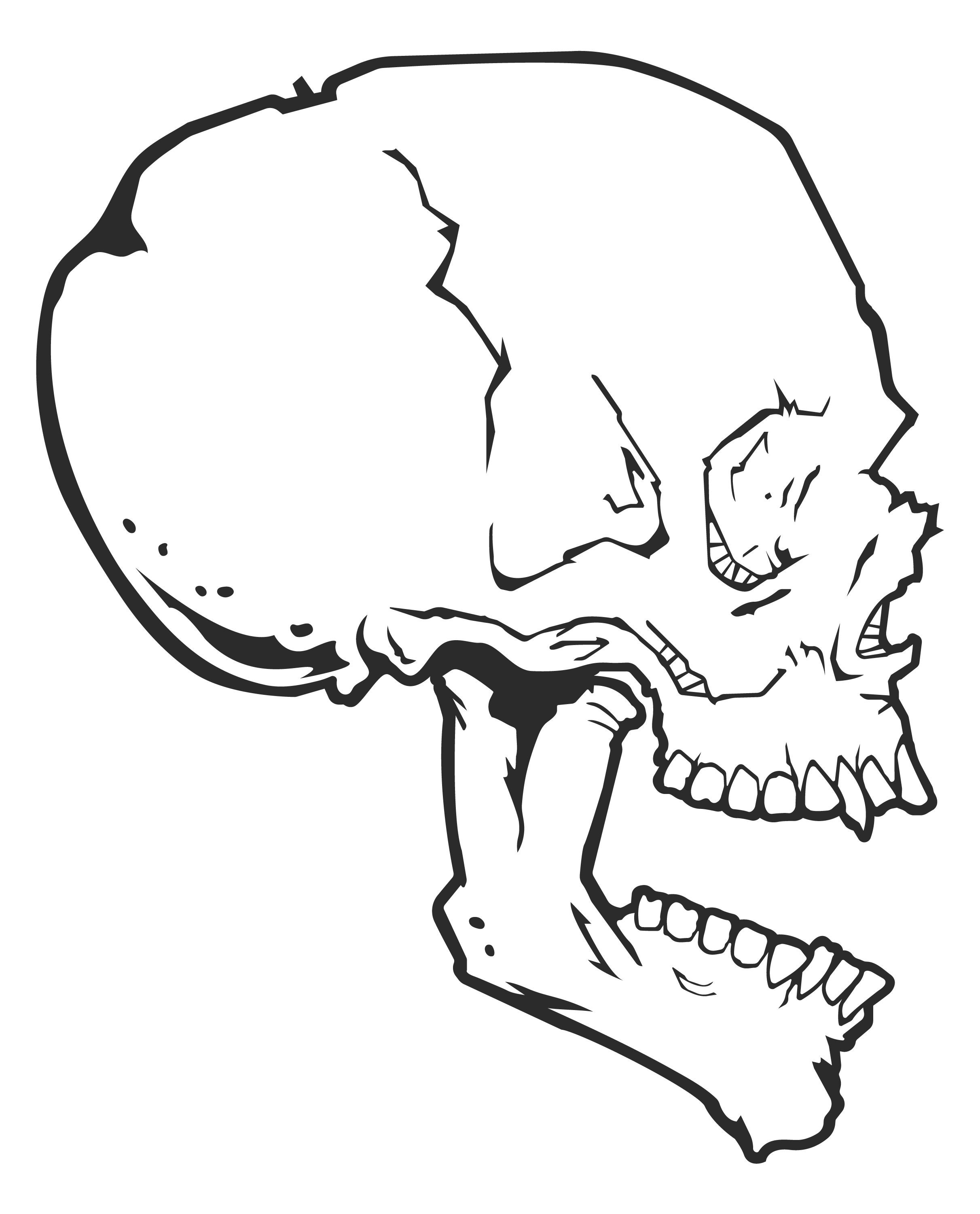Skull Profile Drawing