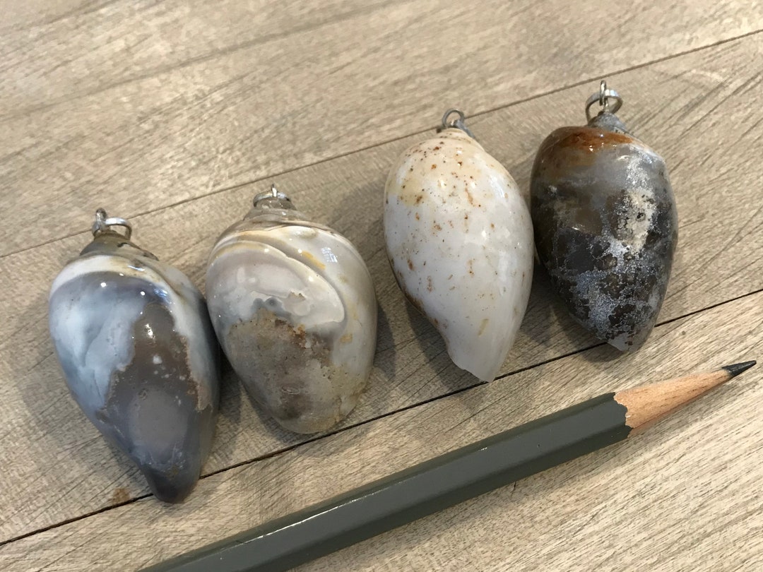 4 Spiralite Fossilized Shell Pendants - Etsy