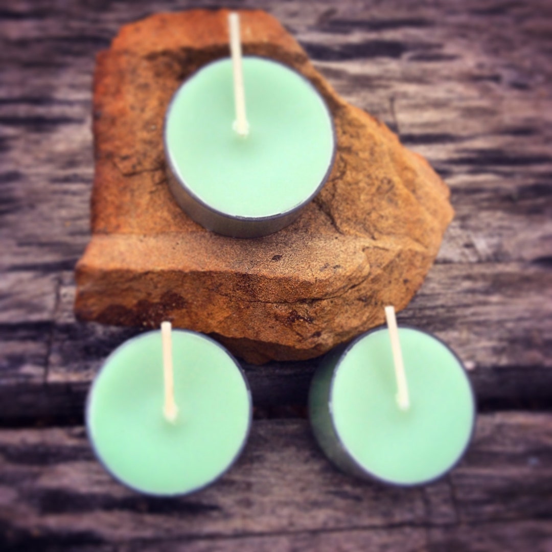 Apple Cinnamon Tea Lights - One Dozen - Set of 12 - Soy Tea Light ...