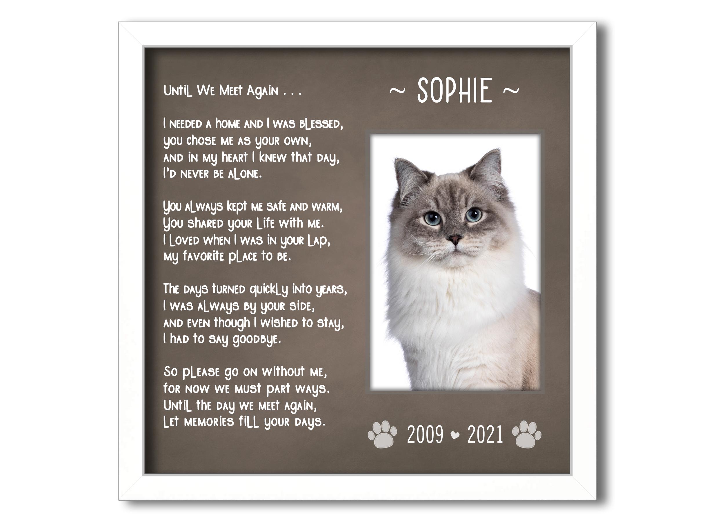 Cat Frame, Cat Died Gift, Cat Memorial Gift, Cat Memorial Frame, Cat ...