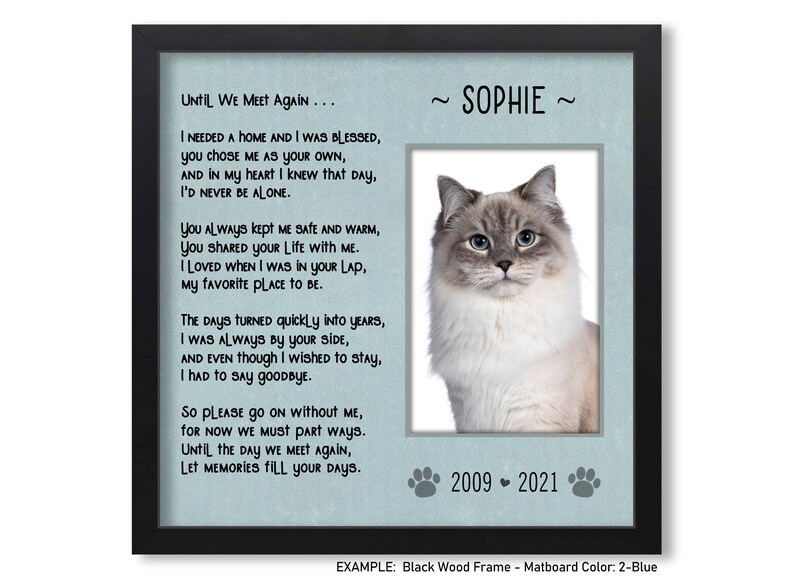 Cat Frame Cat Died Gift Cat Memorial Gift Cat Memorial - Etsy