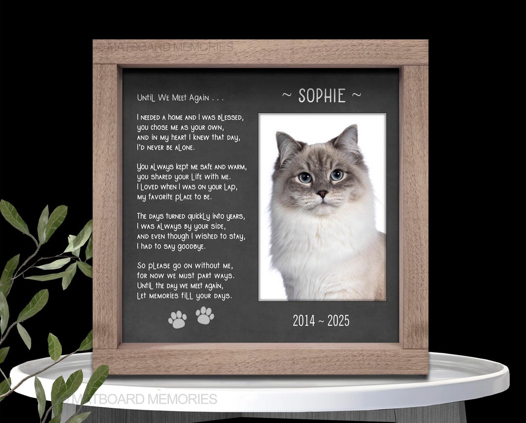 Cat Loss Memorial Picture Frame, Personalized Cat Died Gift, Memorial ...