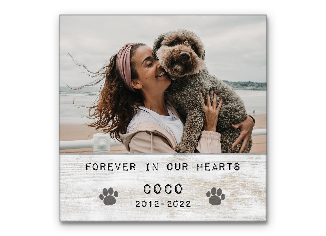 Personalized Dog Frame for Pet Loss, Cat or Dog Bereavement Picture ...