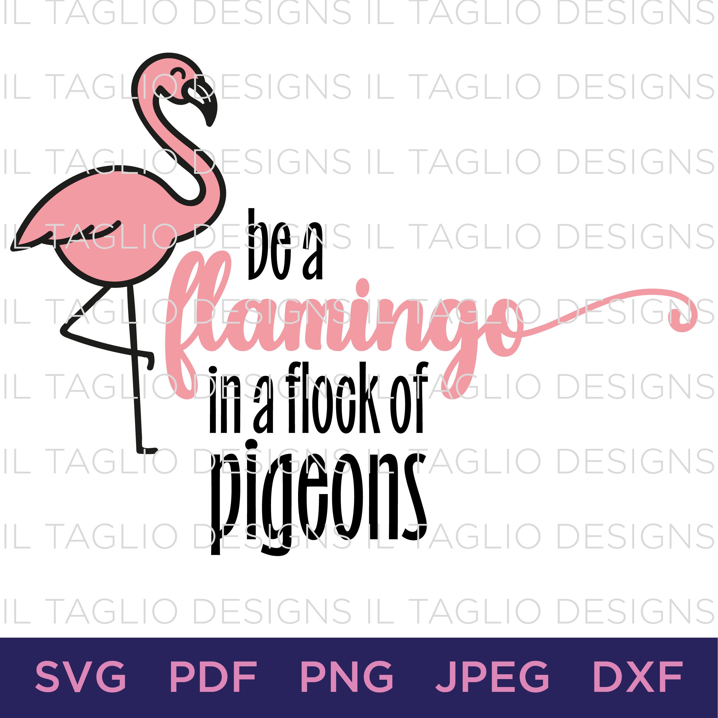 Flamingo SVG, Flock of Pigeons SVG, Bear SVG, Text Svg, Circles Svg ...