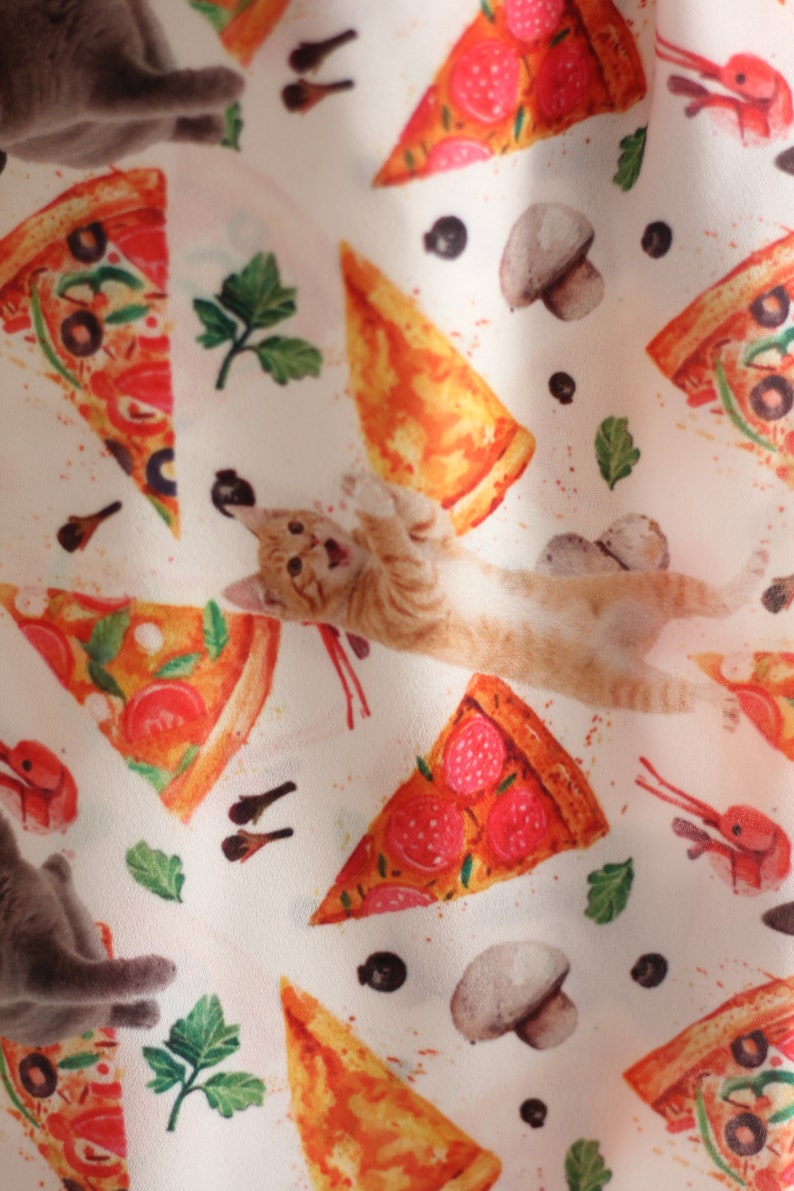 Pizza Cat Scarf Cat Infinity Scarf Pizza Party Crazy Cat - Etsy
