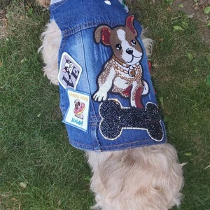 Patched up Pup: "blinged Out Doggie Bone" Iron-on Rhinestone Patch for ...