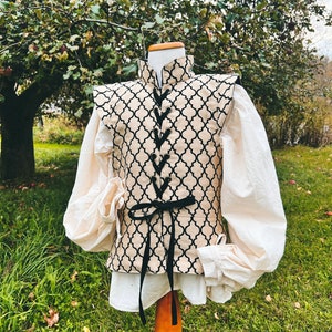 Doublet Poet Shirt Renaissance Costume Historical Fashion - Etsy
