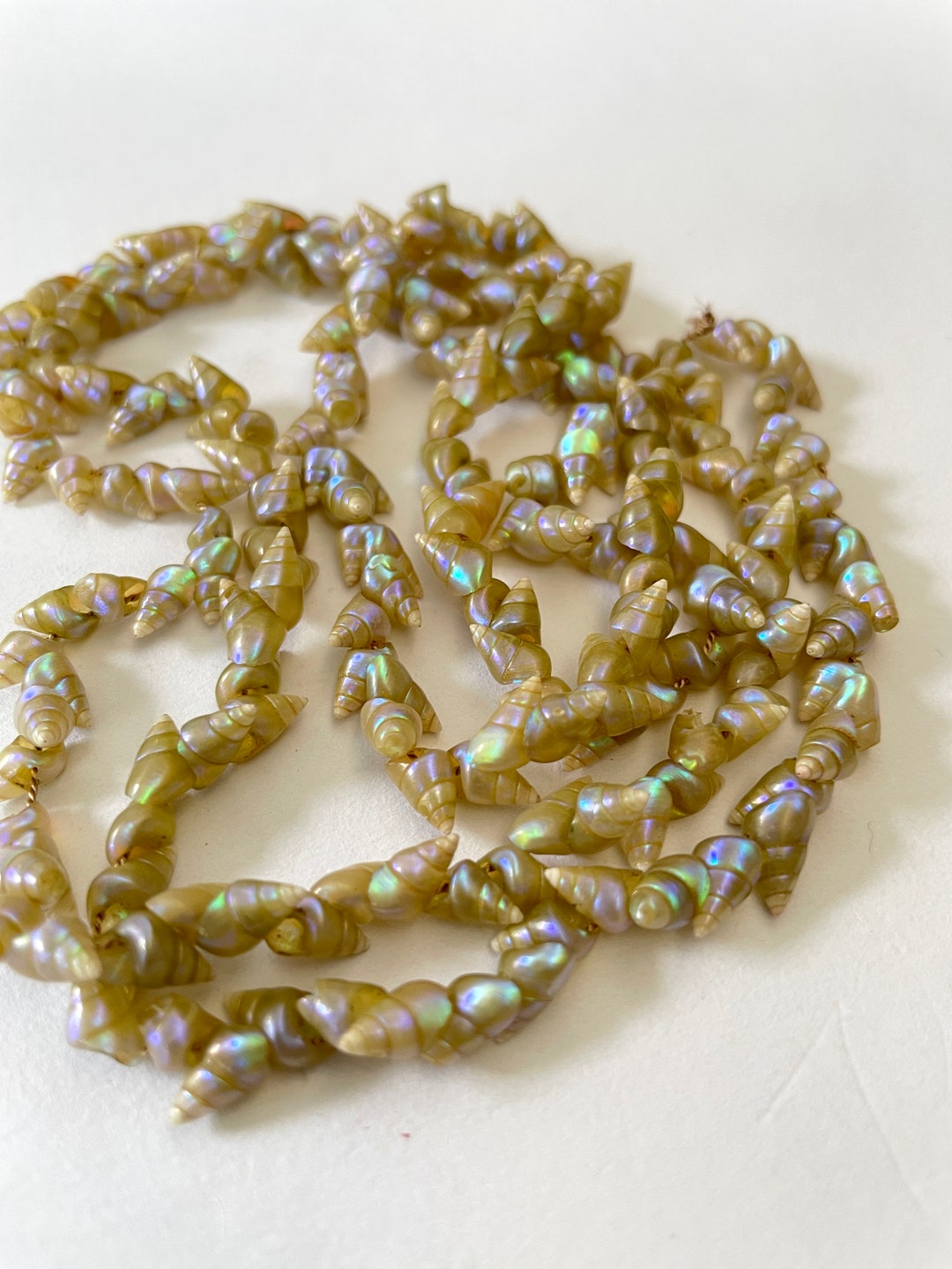 RARE Vintage Tasmanian Aboriginal Maireener Shell Necklace, Iridescent ...