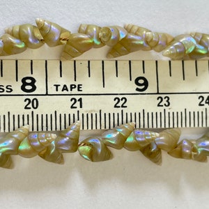 RARE Vintage Tasmanian Aboriginal Maireener Shell Necklace, Iridescent ...