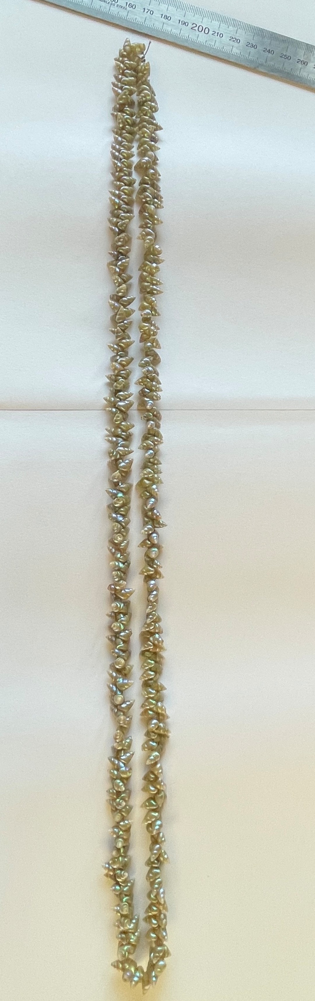 Vintage Maireener Shell Bead Necklace, Tasmanian Rainbow Kelp Shell ...