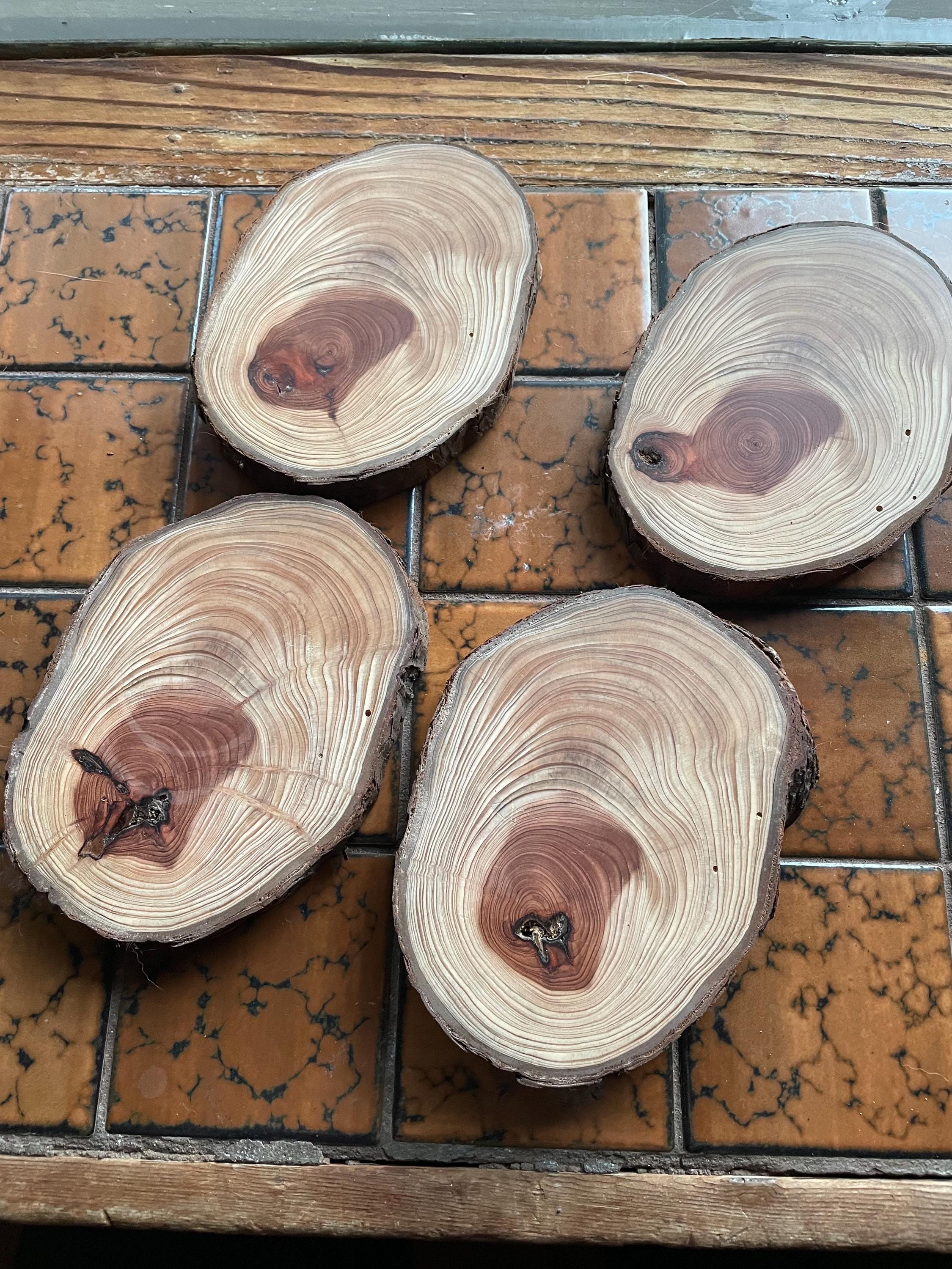 4 Redwood Coaster ~4 1/2”-5”in Diameter + 1/2” Thick Sanded Smooth ...