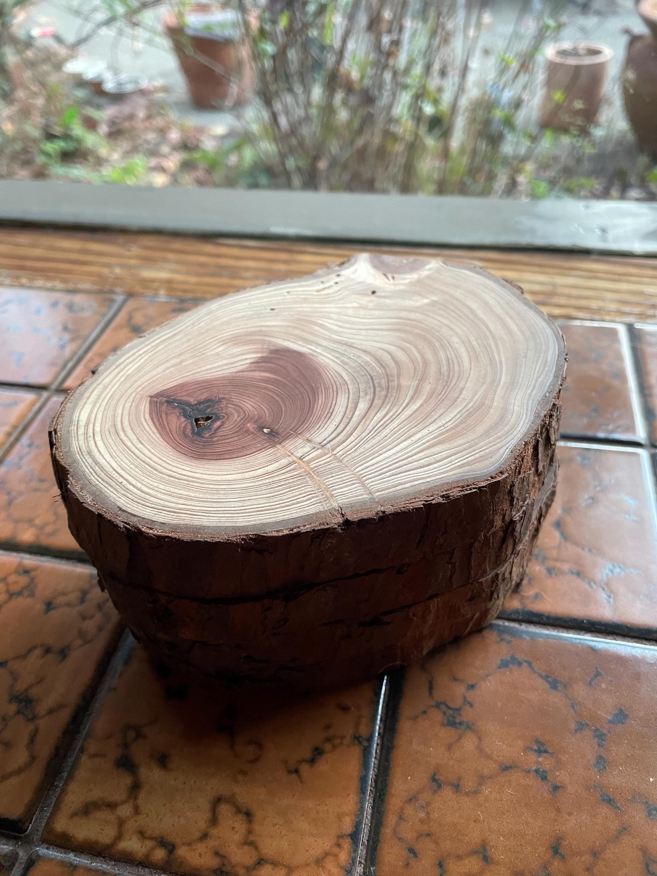 4 Redwood Coaster ~4 1/2”-5”in Diameter + 1/2” Thick Sanded Smooth ...