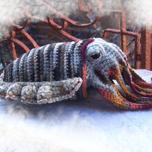 Crochet Pattern Realistic Cuttlefish-amigurumi Cuttlefish-stuffed ...
