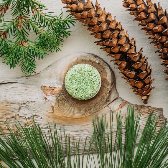 Tree Hugger Shampoo Bar | Etsy