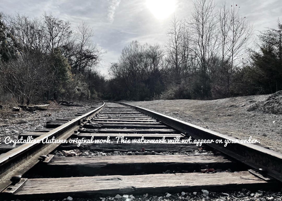Black and White Railroad Tracks Giclee Photography Print Liminal Moody ...