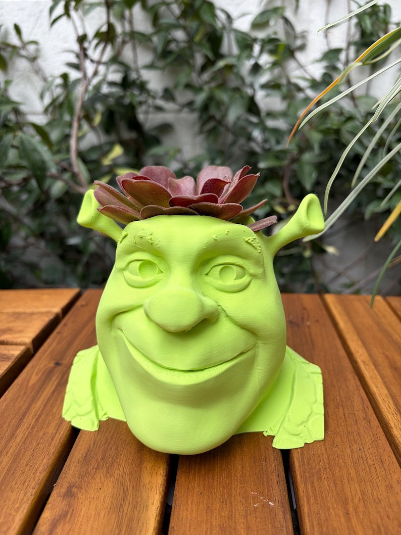 Shrek Planter: Ogre Pot With Drainage - Small or Large - Etsy