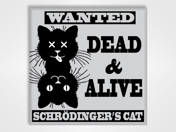 Funny Dead Cats