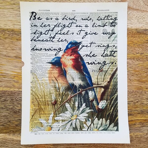 Bird Dictionary Art - Etsy