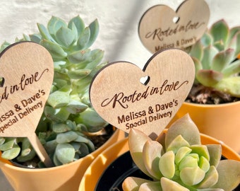 Rooted in Love Shower Invitations - Etsy