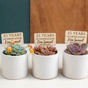 Thank You Retirement Plant Stick Gifts Party Favors, Custom Retirement ...