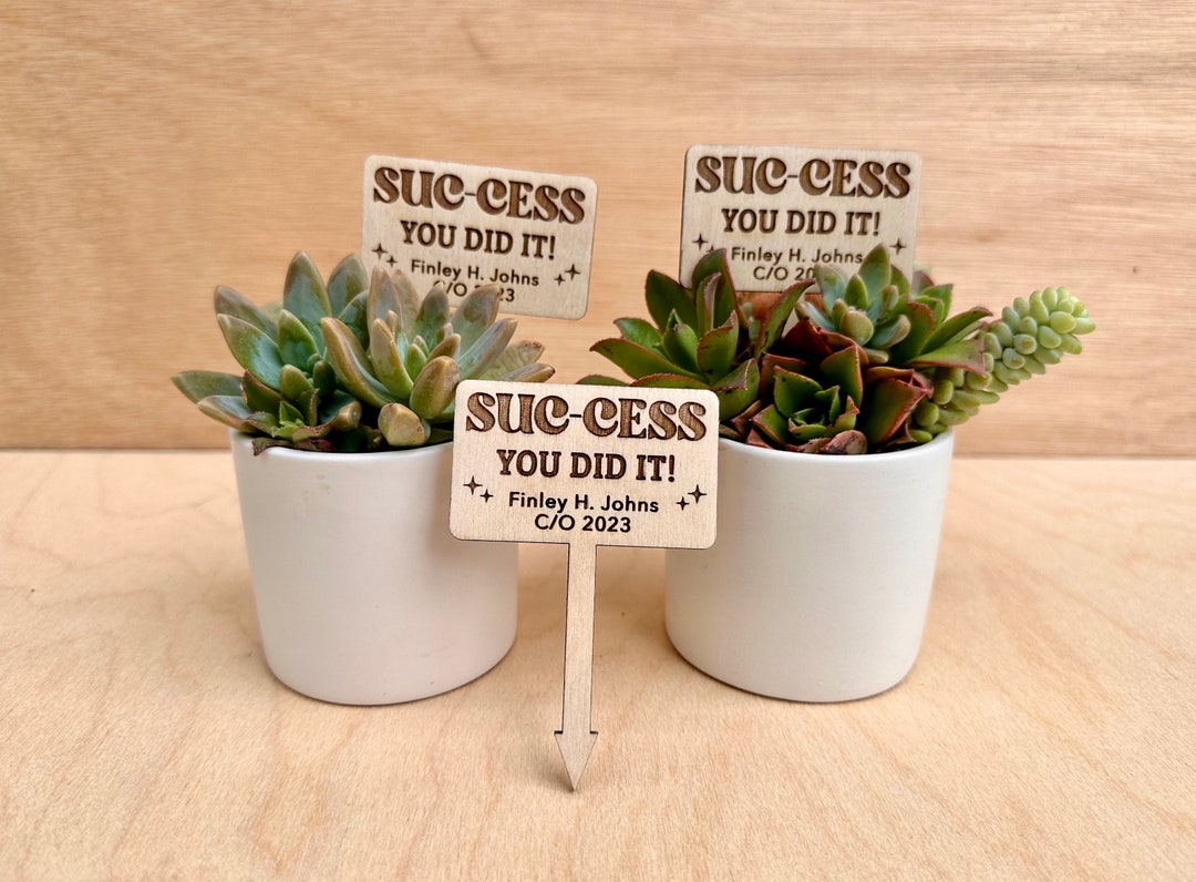 Suc-cess You Did It Custom Graduation Grad Plant Stick Gift Ideas ...