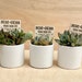 Suc-cess You Did It Custom Graduation Grad Plant Stick Gift - Etsy