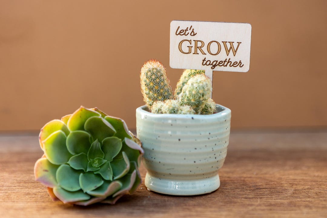 Let's Grow Together Plant Stick: Birch Wood Corporate Gift for ...