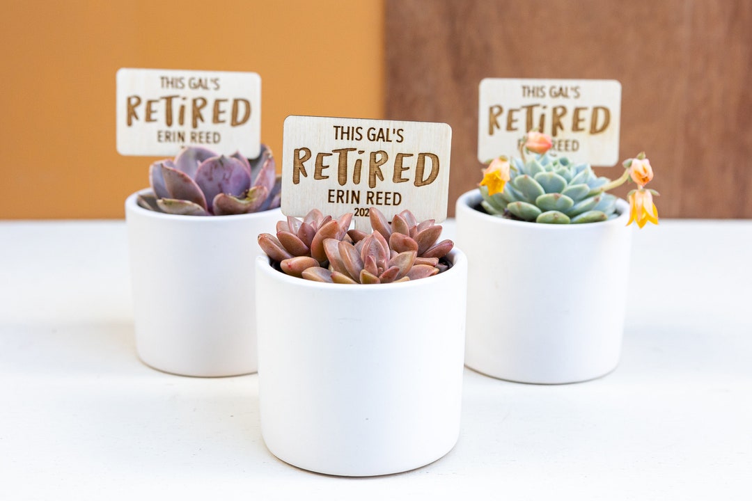 Retirement Plant Sticks as Thank You Gifts for Guests, Farewell and ...