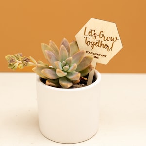 Personalized Wooden Plant Stick: Corporate Favor, "let's Grow Together ...
