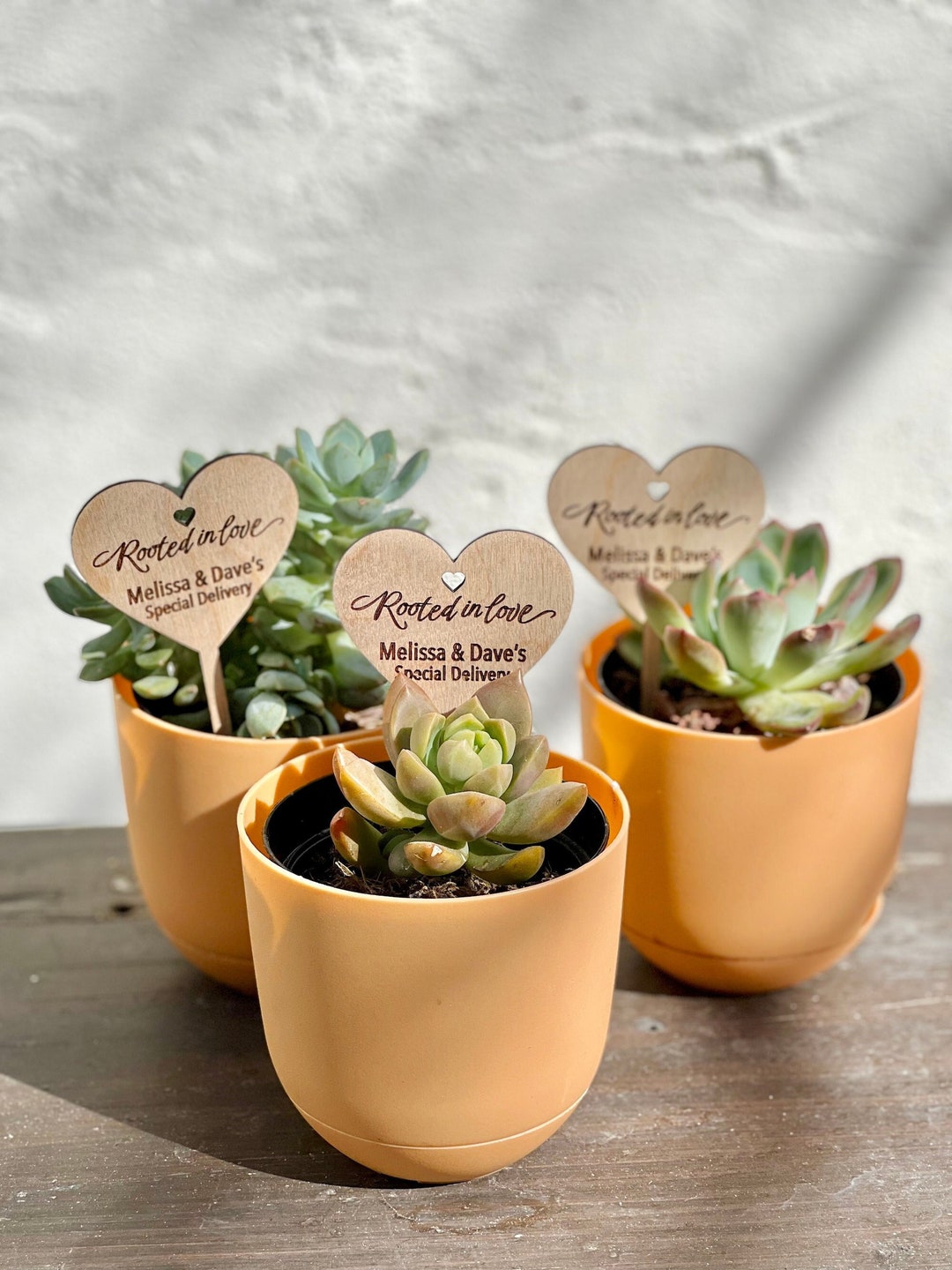 Rooted in Love Wedding Favors,heart-shaped Rooted in Love Plant Sticks ...