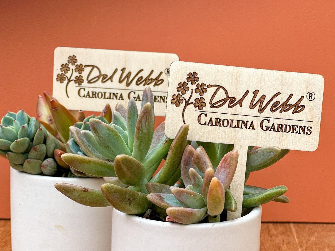 Custom Logo Plant Sticks: Engraved Wooden Business Gifts - Etsy