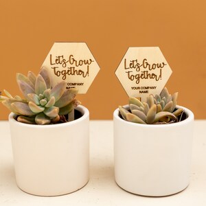 Personalized Wooden Plant Stick: Corporate Favor, "let's Grow Together ...