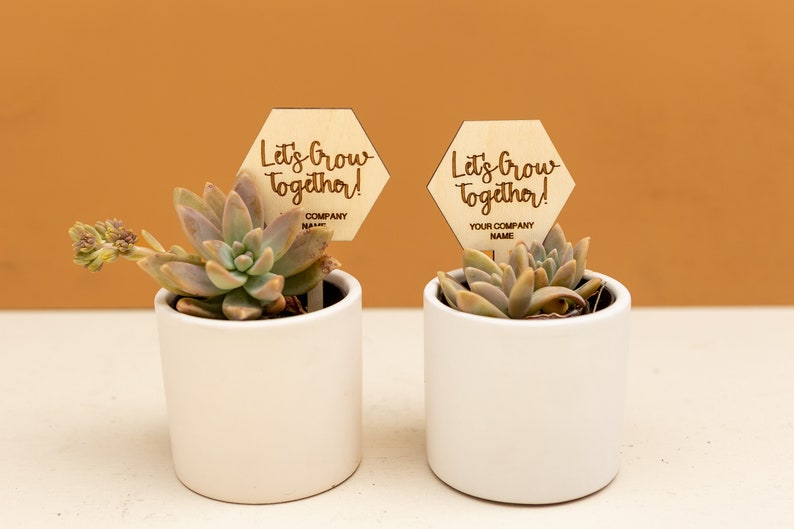 Personalized Wooden Plant Stick: Corporate Favor, "let's Grow Together ...