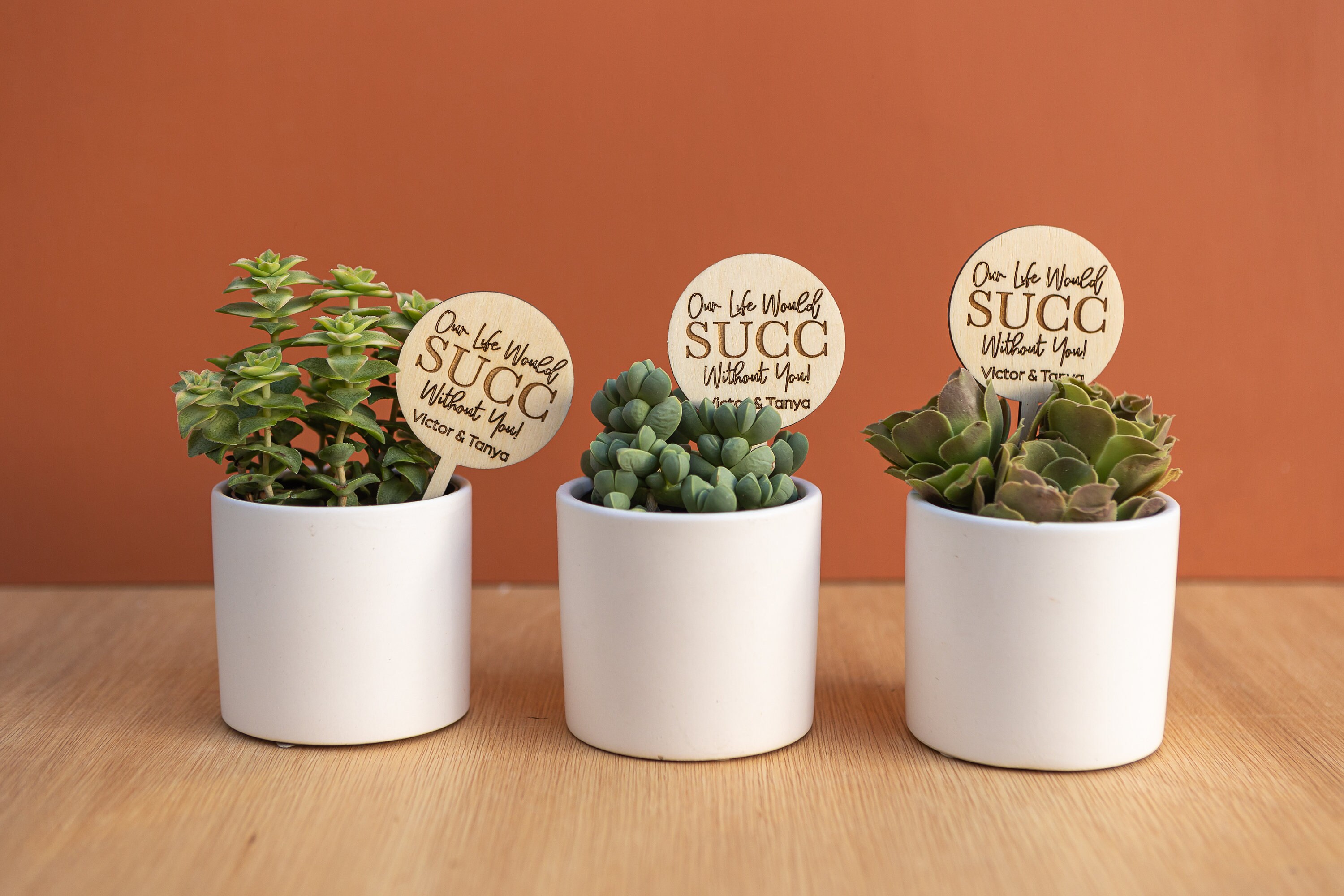 Life Would SUCC Without You Plant Stick: Custom Wooden Favor Tag - Etsy