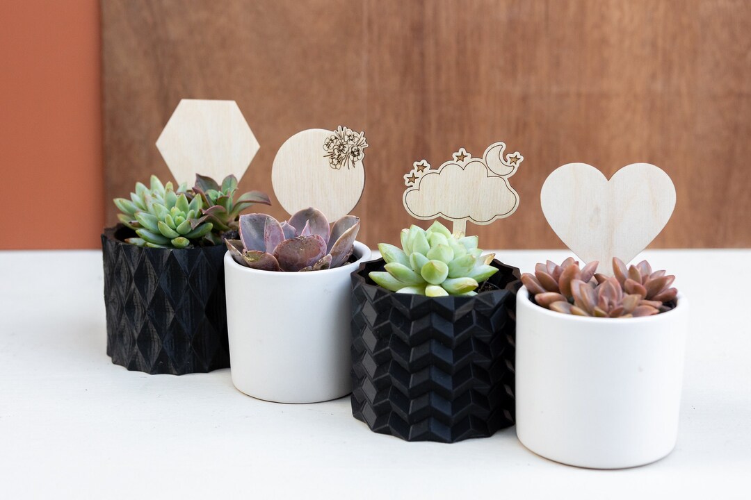Custom Logo Plant Sticks: Birch Wood Corporate Favors - Etsy