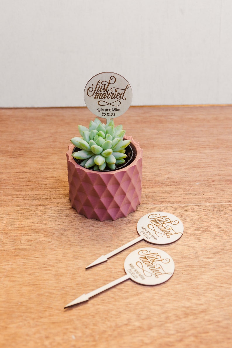 Just Married Wedding Plant Stick Favors Succulent Plant - Etsy