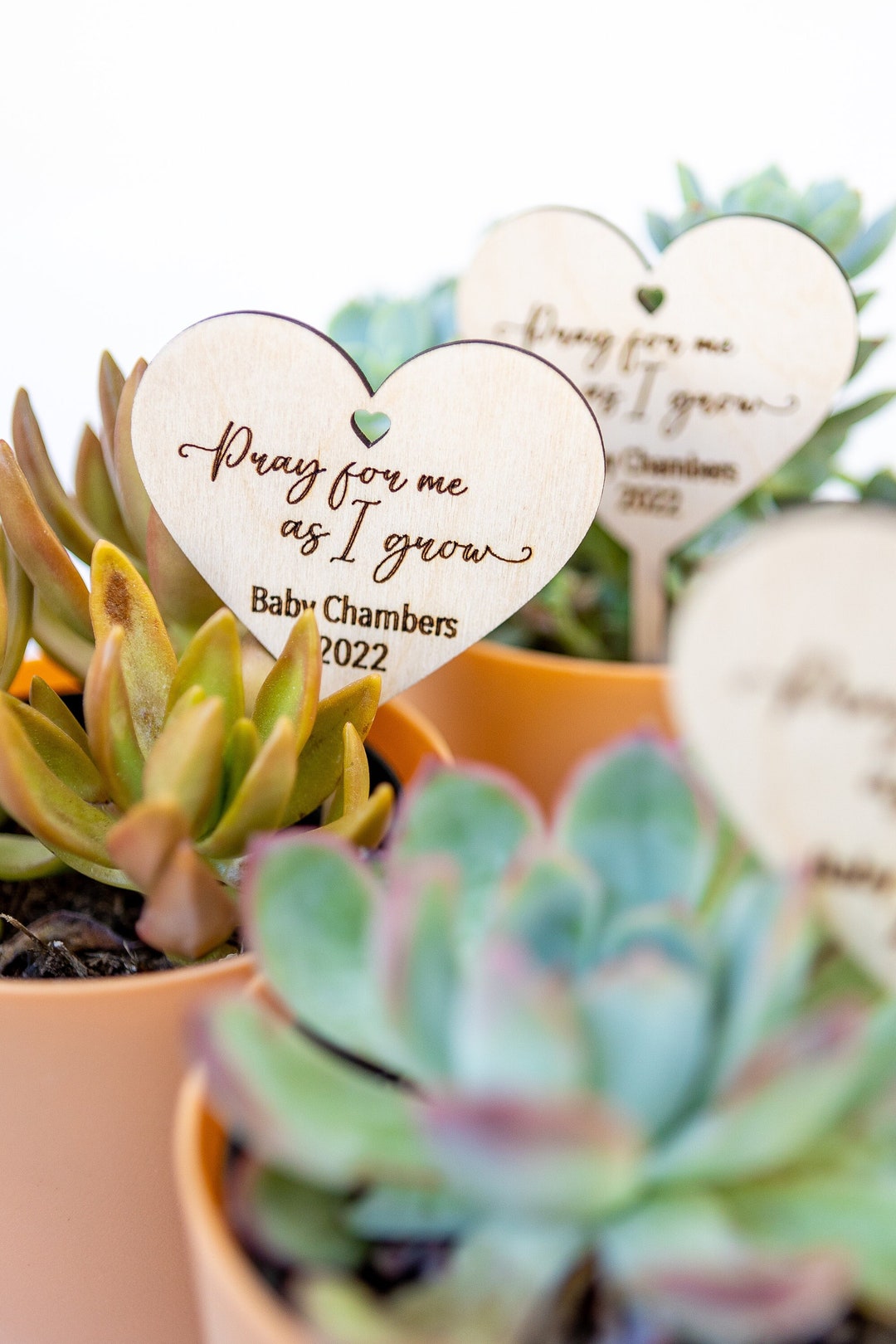 Pray for Me Heart Succulent Plant Tag Stick, Baby Shower Favor, Baptism ...
