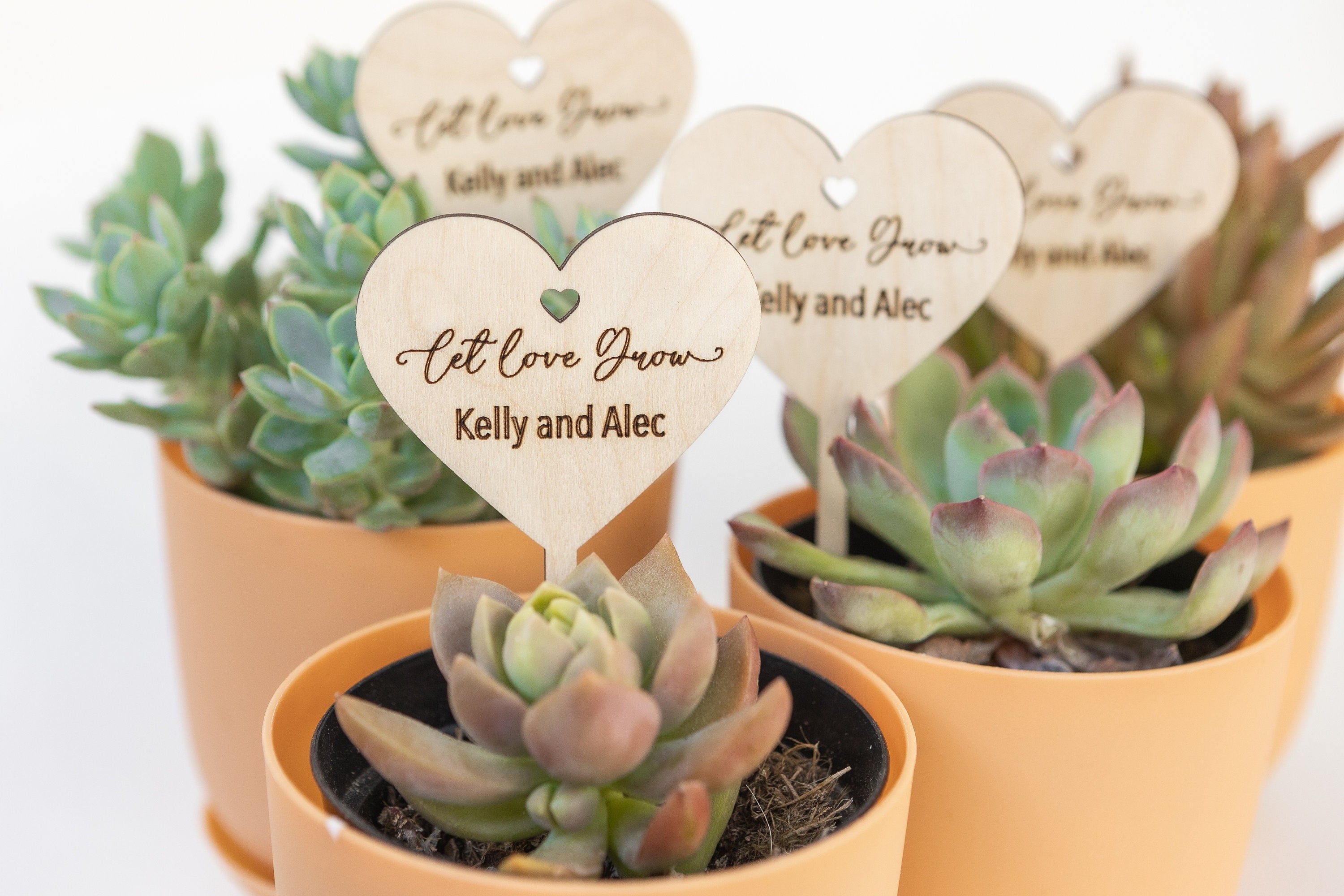 Personalized Wooden Plant Tags: Let Love Grow, Wedding Favors - Etsy
