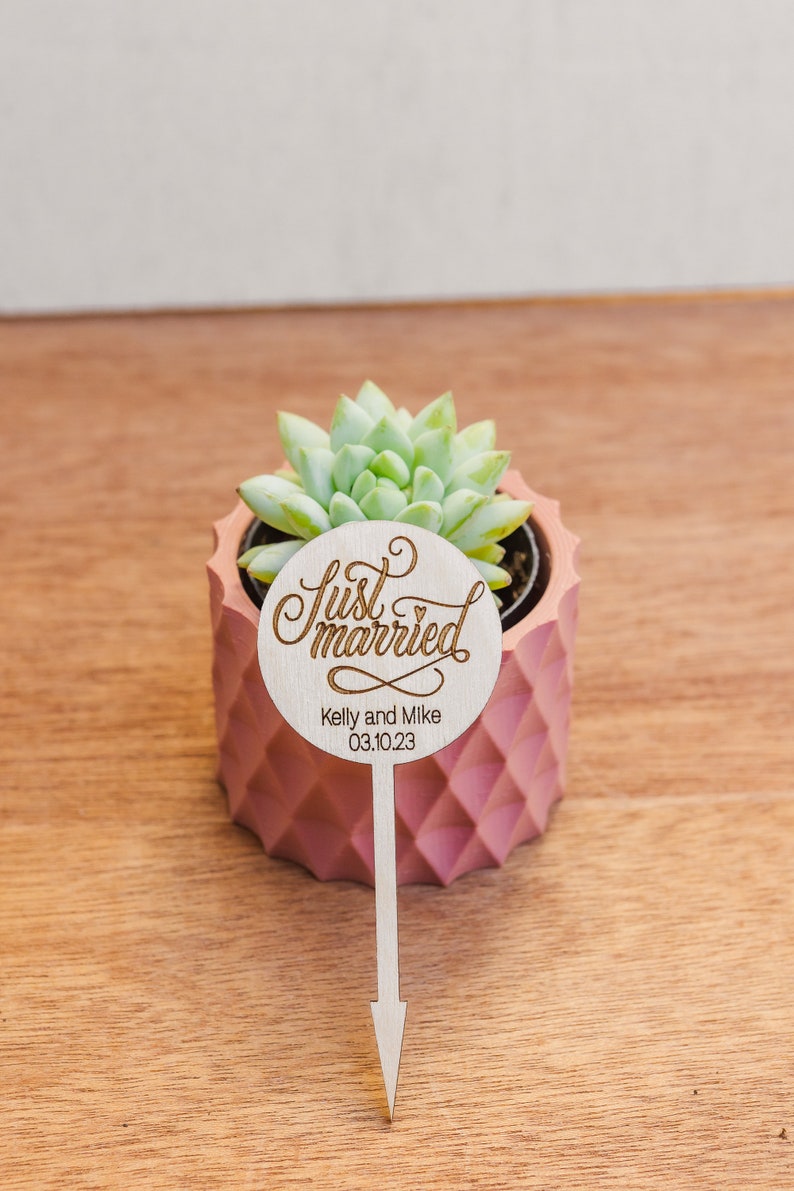 Just Married Wedding Plant Stick Favors Succulent Plant - Etsy
