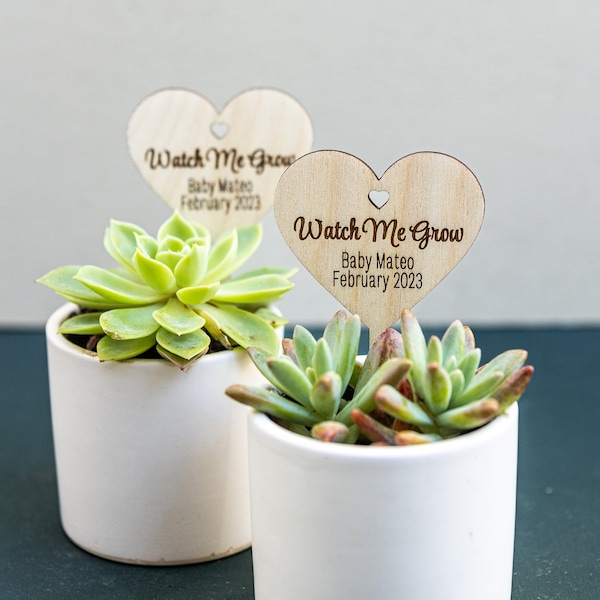 Watch Me Grow Succulent Tags - Etsy