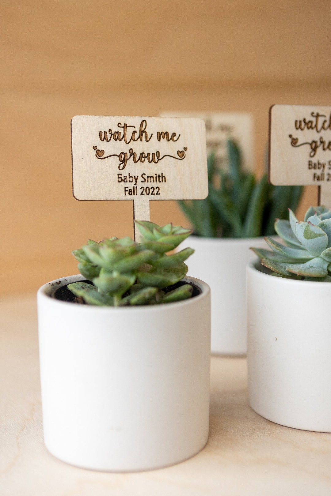 Watch Me Grow Succulent Plants Tags, Custom Watch Me Grow Plant Stakes ...